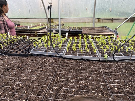 ZENGER FARM - Updated October 2025 - 10 Photos - 11741 SE Foster Rd ...