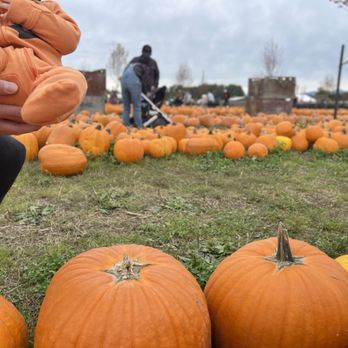 STOCKER FARMS - Updated September 2025 - 193 Photos & 130 Reviews ...