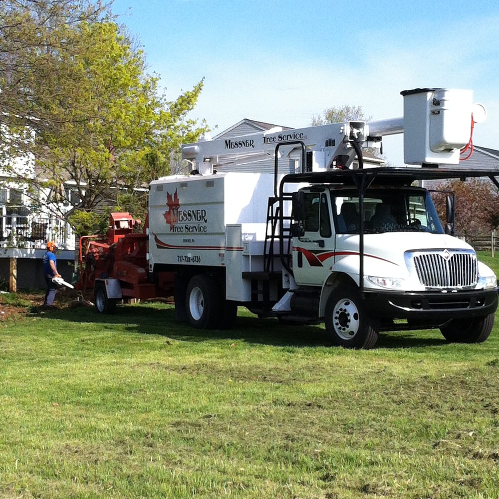 MESSNER TREE SERVICE - Updated October 2025 - Denver, Pennsylvania ...