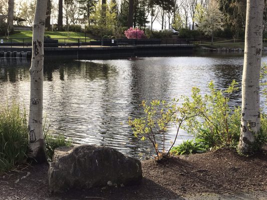 HILLSBORO PUBLIC LIBRARY - Updated January 2025 - 66 Photos & 54 ...