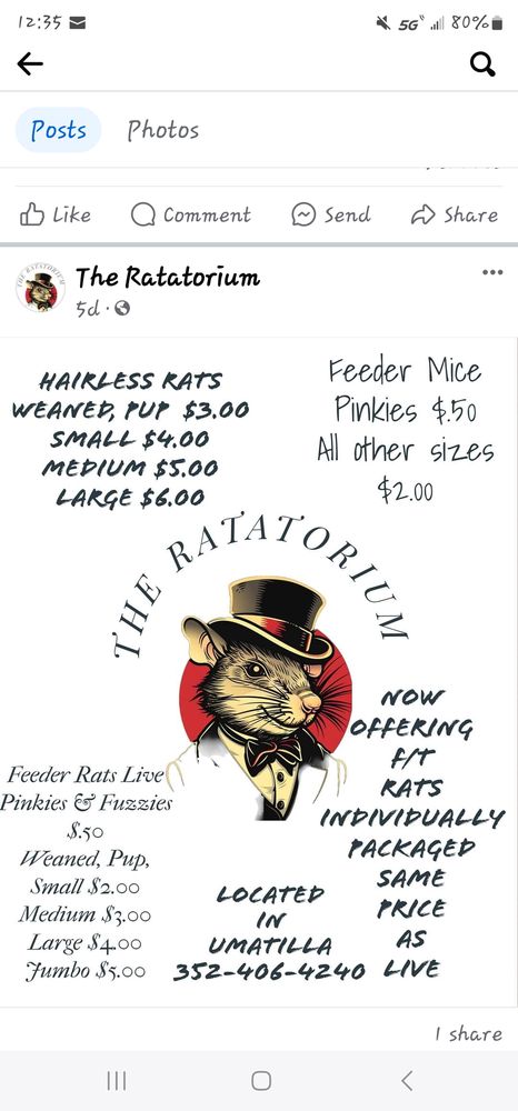 THE RATATORIUM - Updated November 2024 - Umatilla, Florida - Pet ...