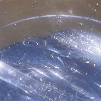 CHOW KING - Updated April 2025 - 37 Photos & 55 Reviews - 1000 Beltline ...