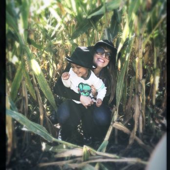 RELLEKE FARMS - Updated October 2025 - 22 Photos & 11 Reviews - 473 ...