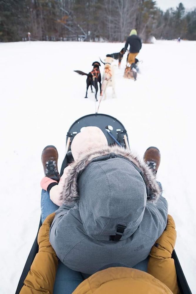 ULTIMATE DOG SLEDDING EXPERIENCE - Updated July 2025 - 101 Photos & 13 ...