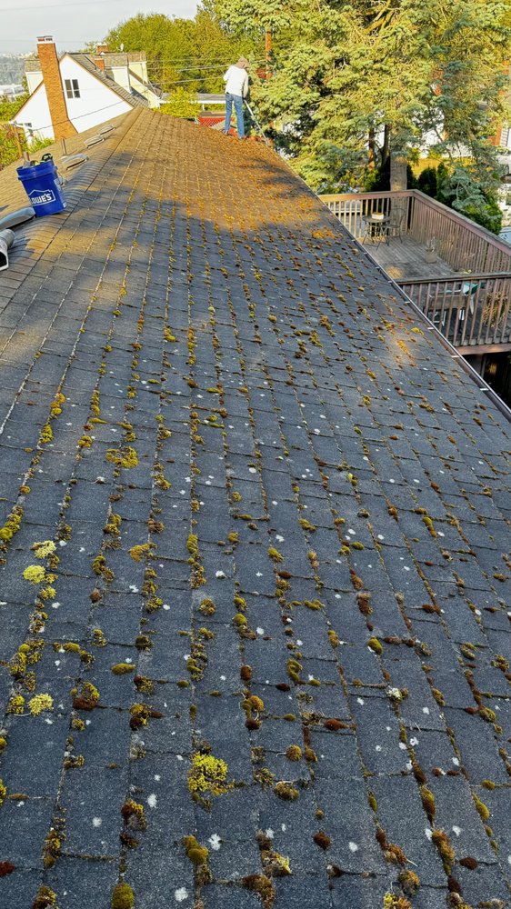 ROJO MOSS REMOVAL AND POWER WASHING - Updated October 2025 - 17 Photos ...