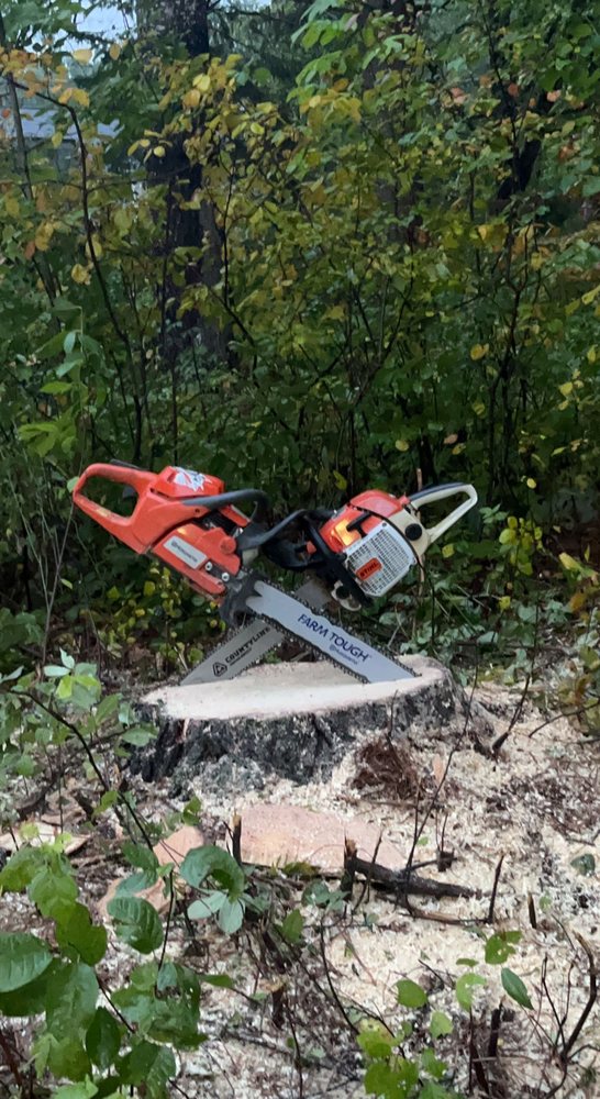 CAMPBELL TREE SERVICE - Updated January 2025 - Request a Quote - Indian ...