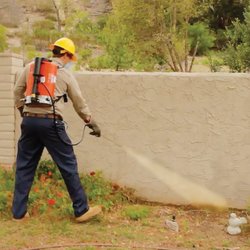 CORKY’S PEST CONTROL - 21 Photos & 458 Reviews - 909 Rancheros Dr, San ...