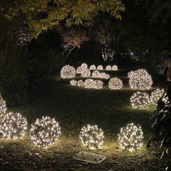 JC RAULSTON ARBORETUM - Updated December 2025 - 693 Photos & 113 ...