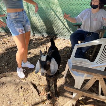 THE LITTLE FARM - Updated December 2025 - 172 Photos & 68 Reviews ...