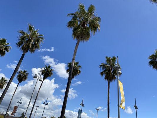 ALAMEDA SOUTH SHORE CENTER - Updated December 2025 - 350 Photos & 81 ...