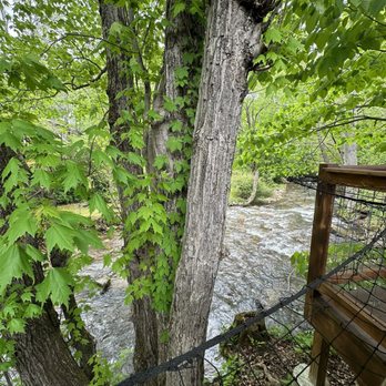 BEARWATERS BREWING COMPANY - MAGGIE VALLEY - Updated October 2025 - 114 ...