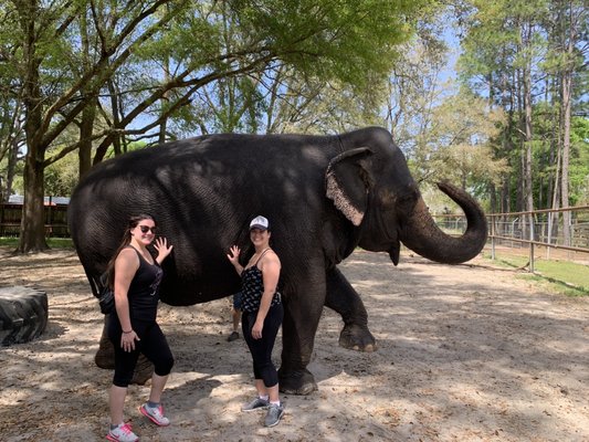 TWO TAILS RANCH - Updated March 2025 - 118 Photos & 84 Reviews - 18655 ...