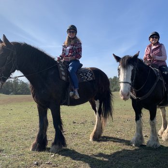 COVELLS CLYDESDALE RANCH - Updated July 2024 - 266 Photos & 148 Reviews ...