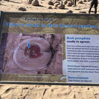 PUMPKIN PATCH - Updated July 2025 - 30 Photos - Ocotillo Wells, California - Local Flavor - Yelp