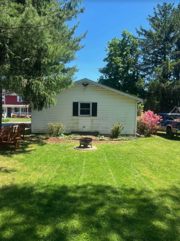 FREEDOM TREE & PROPERTY SERVICES - Updated January 2025 - Request a ...