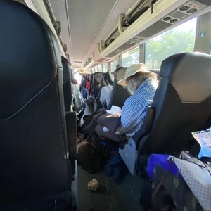 PETER PAN BUS LINES - Updated June 2024 - 63 Photos & 299 Reviews - 700 ...