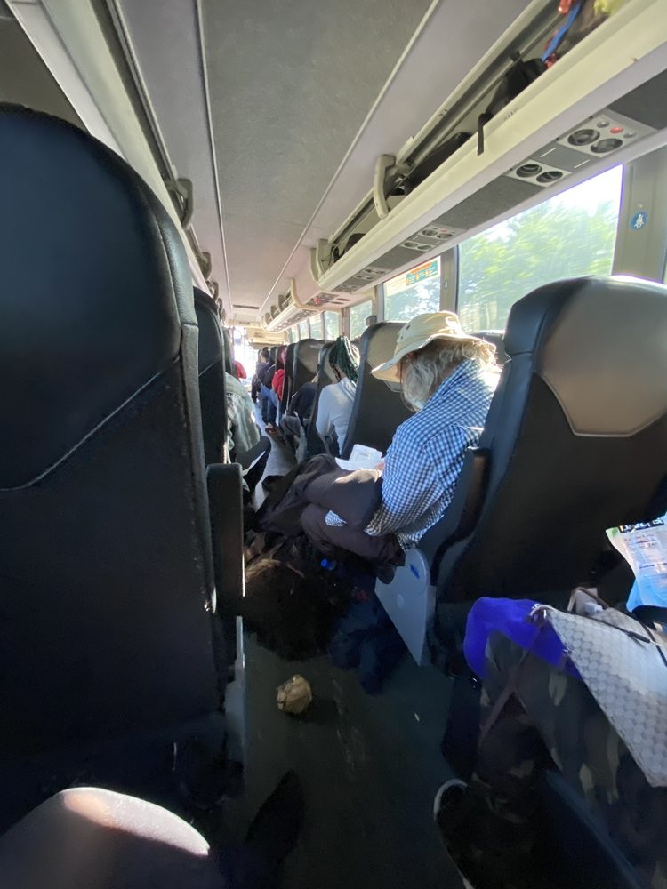 GREYHOUND BUS LINES - Updated June 2024 - 38 Photos & 275 Reviews - 700 ...