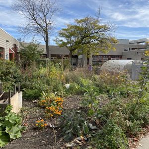 MEADOWVALE COMMUNITY CENTRE - Updated November 2025 - 21 Photos - 6655 ...