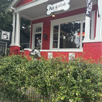 FUR BEBE CAFE - TEMP. CLOSED - Updated January 2026 - 73 Photos & 16 ...