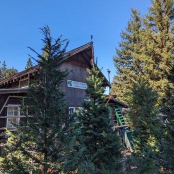 PATCHEN PUMPKIN PATCH - TEMP. CLOSED - Updated March 2025 - 98 Photos ...