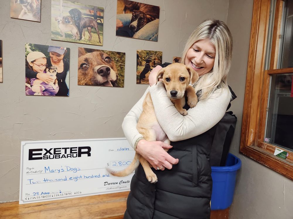 EXETER SUBARU - Updated October 2025 - 31 Photos & 91 Reviews - 37 ...