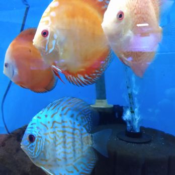 STRICTLY REEF - Updated September 2024 - 85 Photos & 57 Reviews - 907 W ...