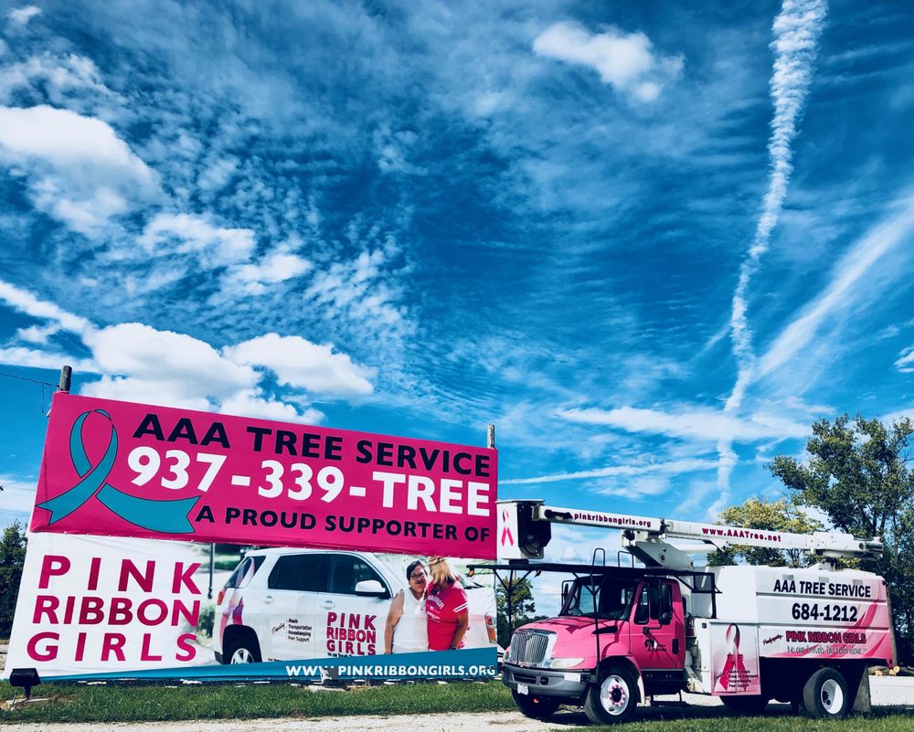 AAA TREE & LANDSCAPING - Updated July 2025 - 17 Photos & 10 Reviews ...