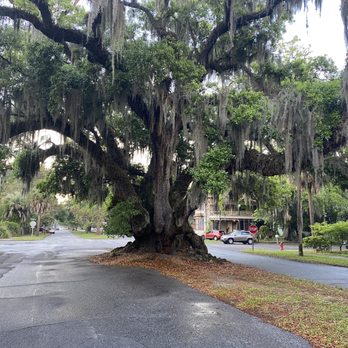 BLYTHE ISLAND REGIONAL PARK - Updated October 2025 - 40 Photos & 18 ...