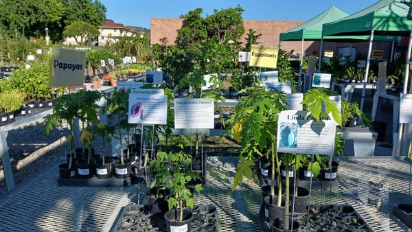 CAL POLY POMONA FARM STORE - Updated March 2025 - 1024 Photos & 216 ...
