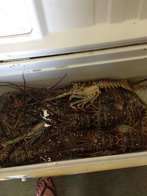 RICK’S YELLOW BAIT HOUSE FORMERLY JACKS BAIT AND TACKLE - Updated ...