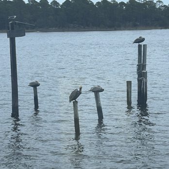 BOON DOCKS RESTAURANT - Updated September 2024 - 153 Photos & 247 ...