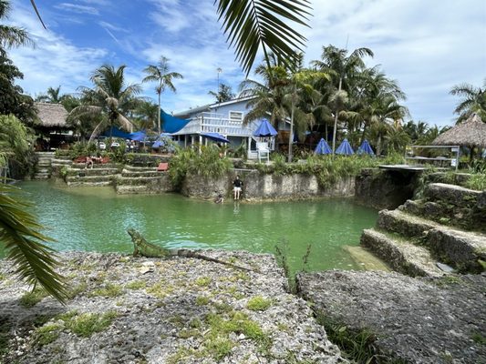 BLUE LAGOON FARM MIAMI - Updated January 2026 - 76 Photos & 41 Reviews ...