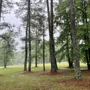 RED CLAY STATE HISTORIC PARK - 103 Photos & 13 Reviews - 1140 Red Clay ...