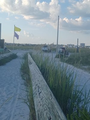 SHELL BEACH ACCESS - Updated August 2025 - 28280 Perdido Beach Blvd ...
