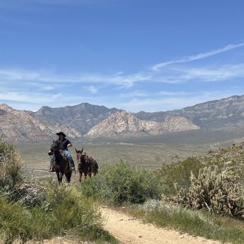 COWBOY TRAIL RIDES - Updated May 2024 - 298 Photos & 159 Reviews - 4053 ...