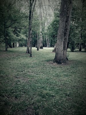 MOHICAN RESERVATION CAMPGROUND & CANOEING - Updated November 2025 - 29 ...