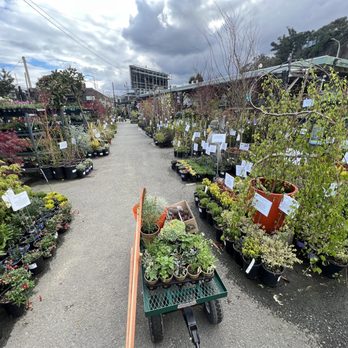 FLOWERCRAFT GARDEN CENTER - Updated April 2025 - 704 Photos & 232 ...