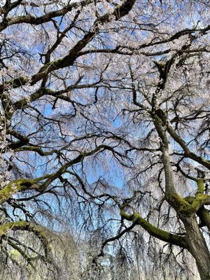 RAVENNA PARK - Updated December 2025 - 130 Photos & 47 Reviews - 5520 ...