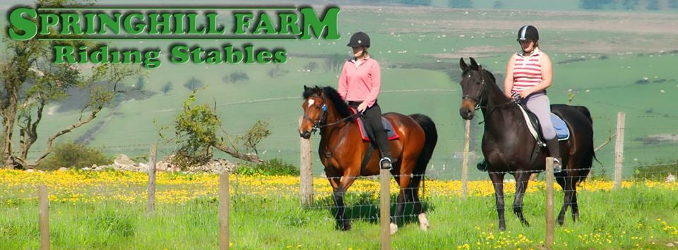 SPRINGHILL FARM RIDING STABLES - Updated August 2025 - Springhill Farm ...