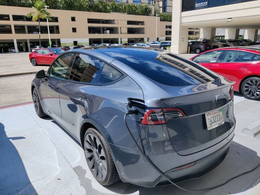 TESLA - Updated January 2026 - 153 Photos & 73 Reviews - 1450 Ala Moana ...