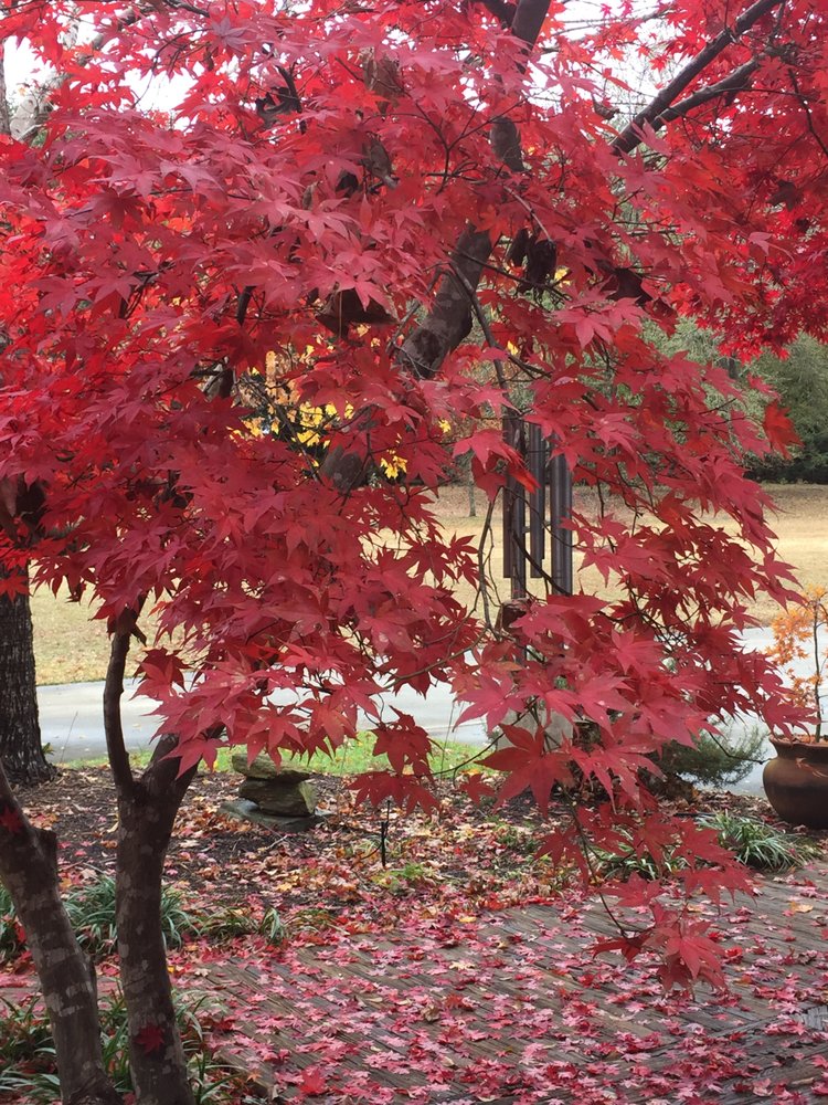 MCLEAN MAPLE FARM - Updated November 2025 - 110 Forest Glen Dr ...