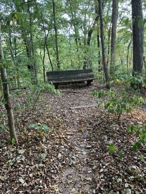BOONE CLIFFS STATE NATURE PRESERVE - 59 Photos & 14 Reviews - Middle ...
