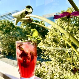 DARLING AVIARY - Updated August 2025 - 908 Photos & 754 Reviews - 712 K ...