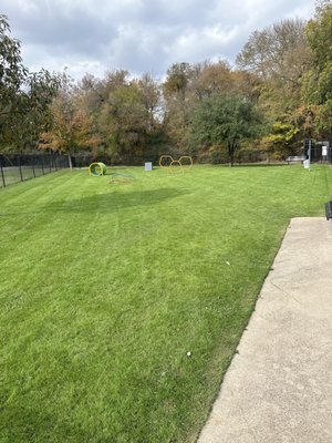 ROCKWALL DOG PARK - Updated January 2025 - 17 Photos & 19 Reviews - 815 ...