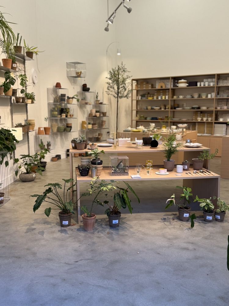 TI TREE PLANTS - Updated April 2026 - 14510 Big Basin Wy, Saratoga ...