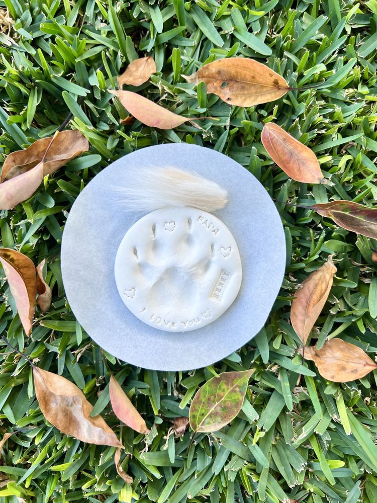 LA FIN VETERINARY - Updated July 2025 - 88 Photos & 87 Reviews ...