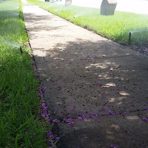 ANDY’S SPRINKLER, DRAINAGE & LIGHTING - Updated August 2025 - 31 Photos ...