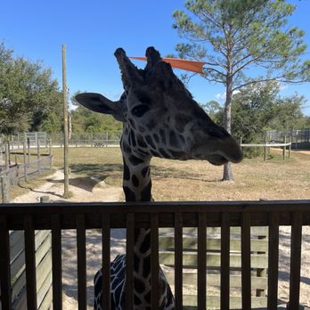 BIRMINGHAM ZOO - Updated August 2024 - 571 Photos & 142 Reviews - 2630 ...