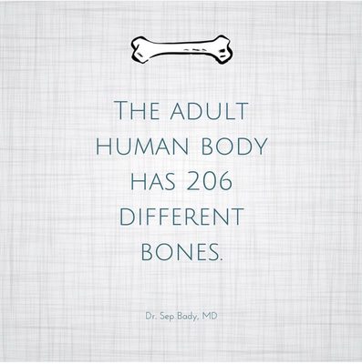 SEP BADY, MD - Updated September 2025 - 34 Reviews - 1901 S Jones Blvd ...