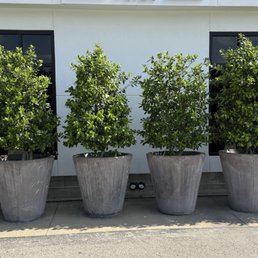 WINSOME PRIME - Updated January 2026 - 382 Photos & 93 Reviews - 3301 ...